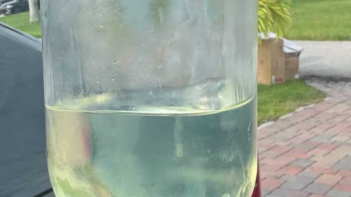 Customers report contaminated gas from 7-Eleven station in Cape Coral