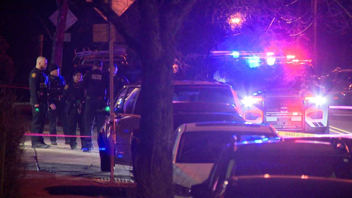 Man injured, dog killed after hit-and-run in Mt. Washington