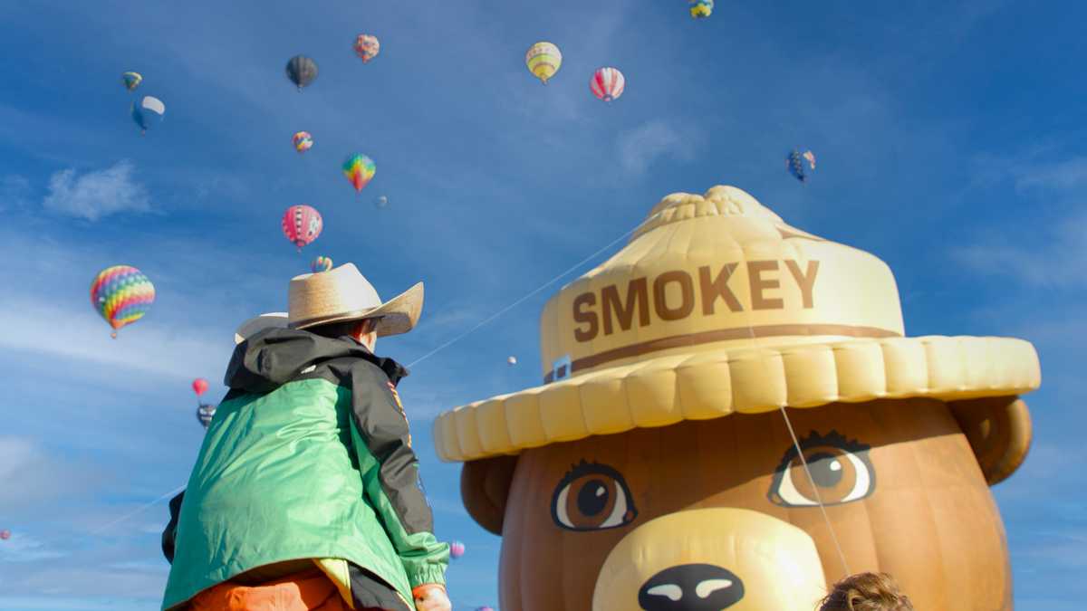 How does a hot air balloon work?