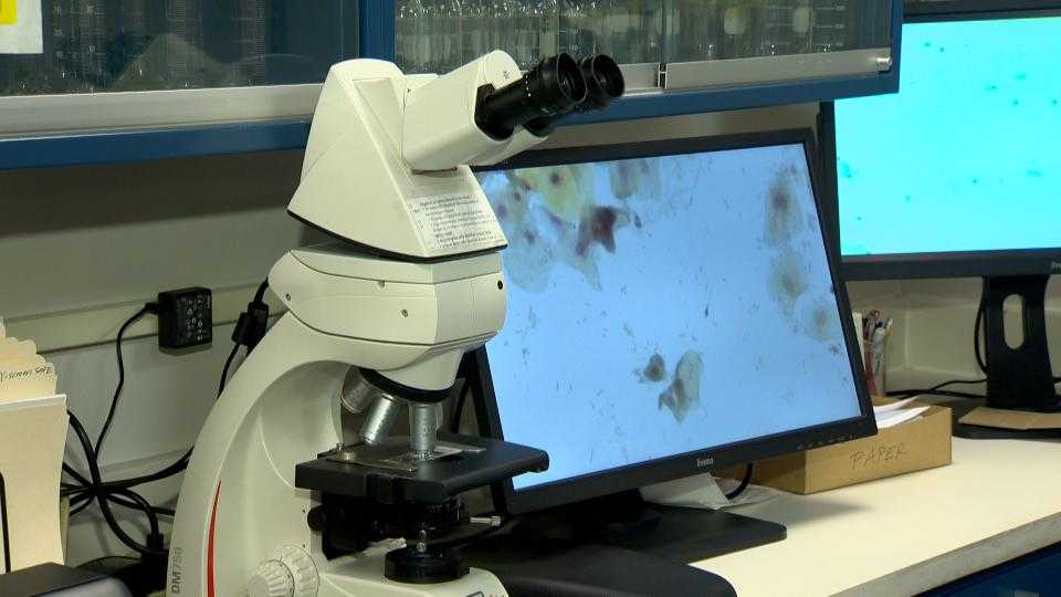 Police forensics team shows how it processes evidence