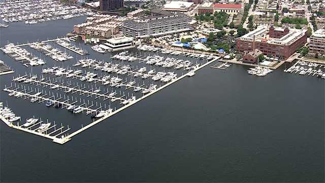 Swimmable Inner Harbor? New report shows cleaner Baltimore harbor