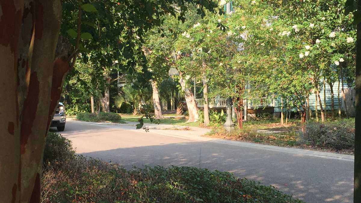 Mandeville City Council votes to put restrictions on B&Bs