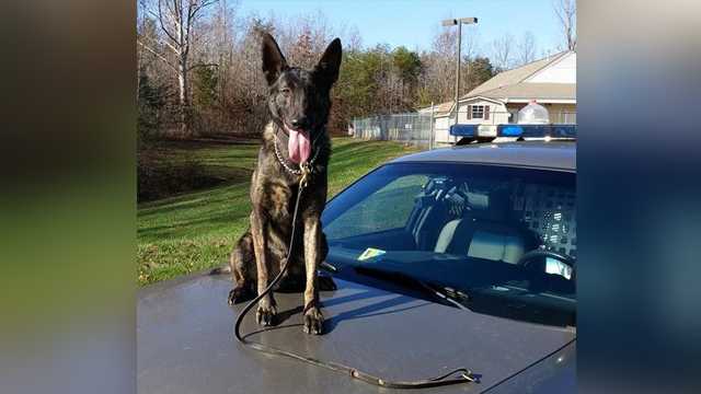 'Job well done': K-9 Bane finds two children lost in woods within 15 ...