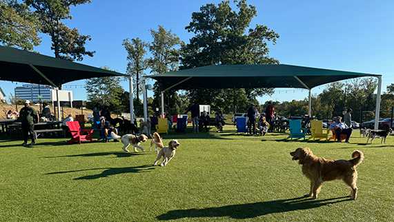 Bark Social dog parks close across Baltimore region