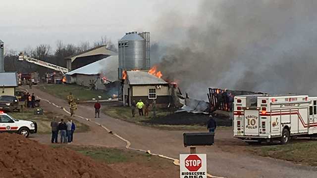 Frederick County barn fire kills 10,000 turkeys
