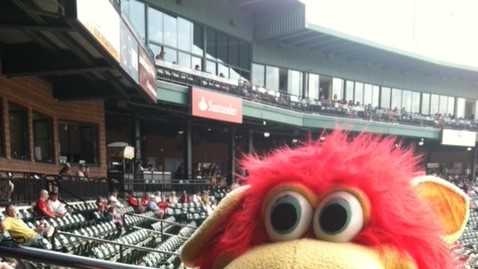Lancaster Barnstormers fans share photos