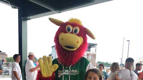 Lancaster Barnstormers fans share photos