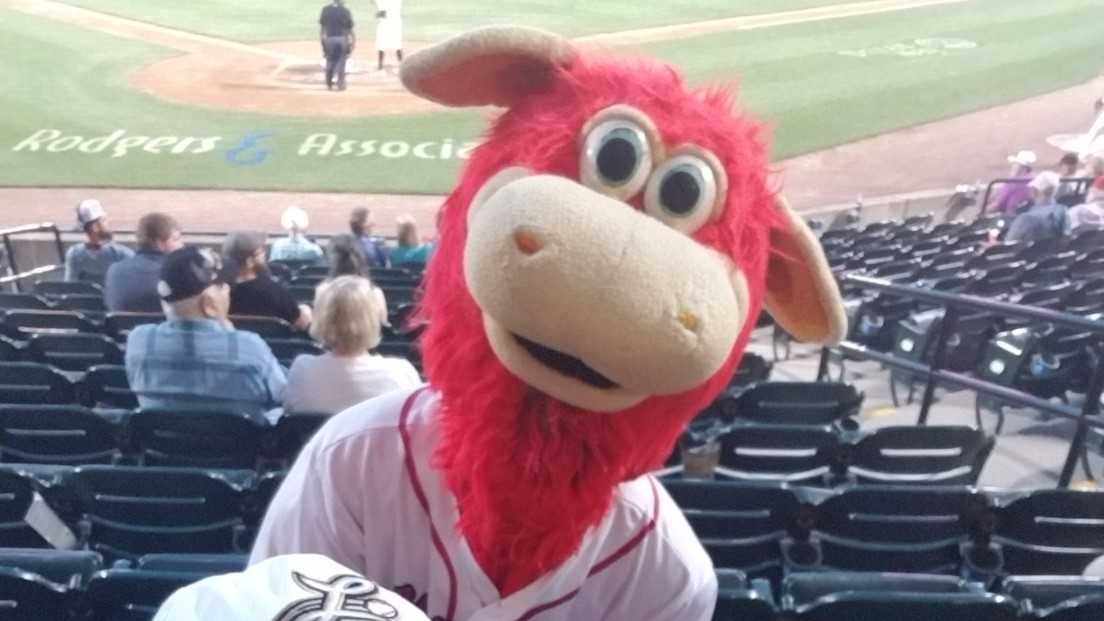 Lancaster Barnstormers fans share photos
