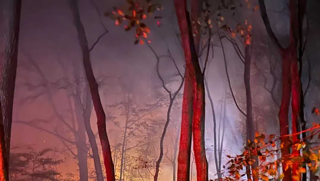 Photos: Crews fight early morning woods fire in Lancaster County, Pa.