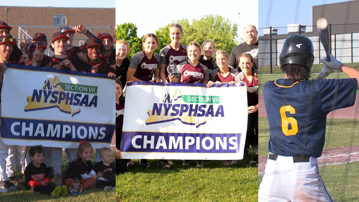 Three Section VII teams earn bid to New York state high school baseball ...