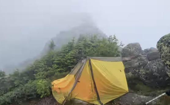 Lauren alexis naked twerking i could not ask for anything