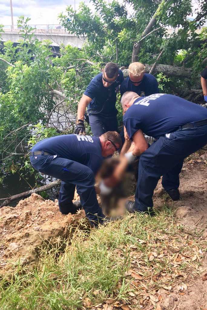 Brevard County firefighters rescue man trapped in rock crevice