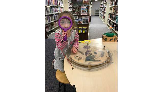 Baltimore County libraries to host STEM events