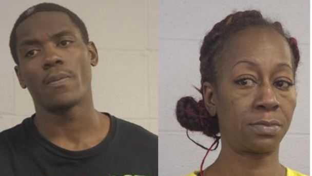 Mother, son charged after allegedly stabbing, robbing couple at Fern ...