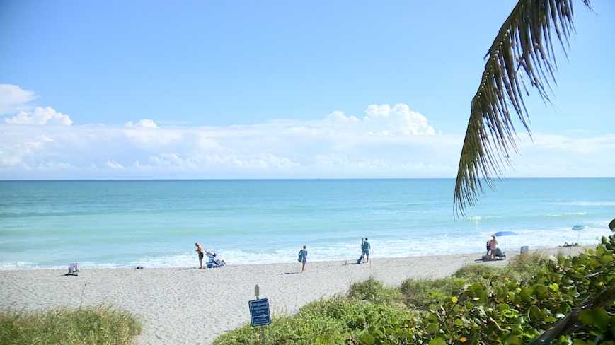 Halloween candy wrappers wanted for Loggerhead Marinelife Center ...