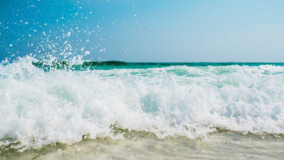 How marine heat waves impact South Florida