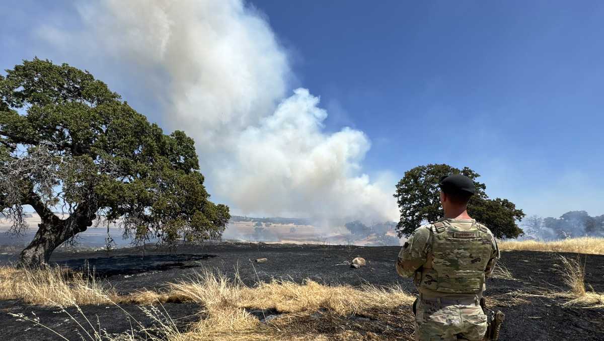 Bird flies into powerlines, sparking a grass fire at Beale Air Force ...