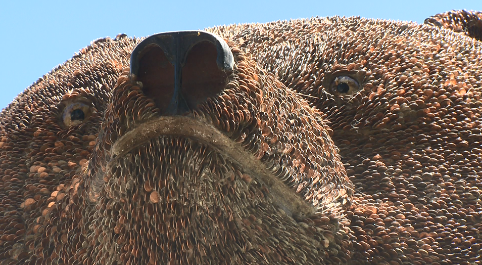 Penny Bear finds permanent home in Tahoe City