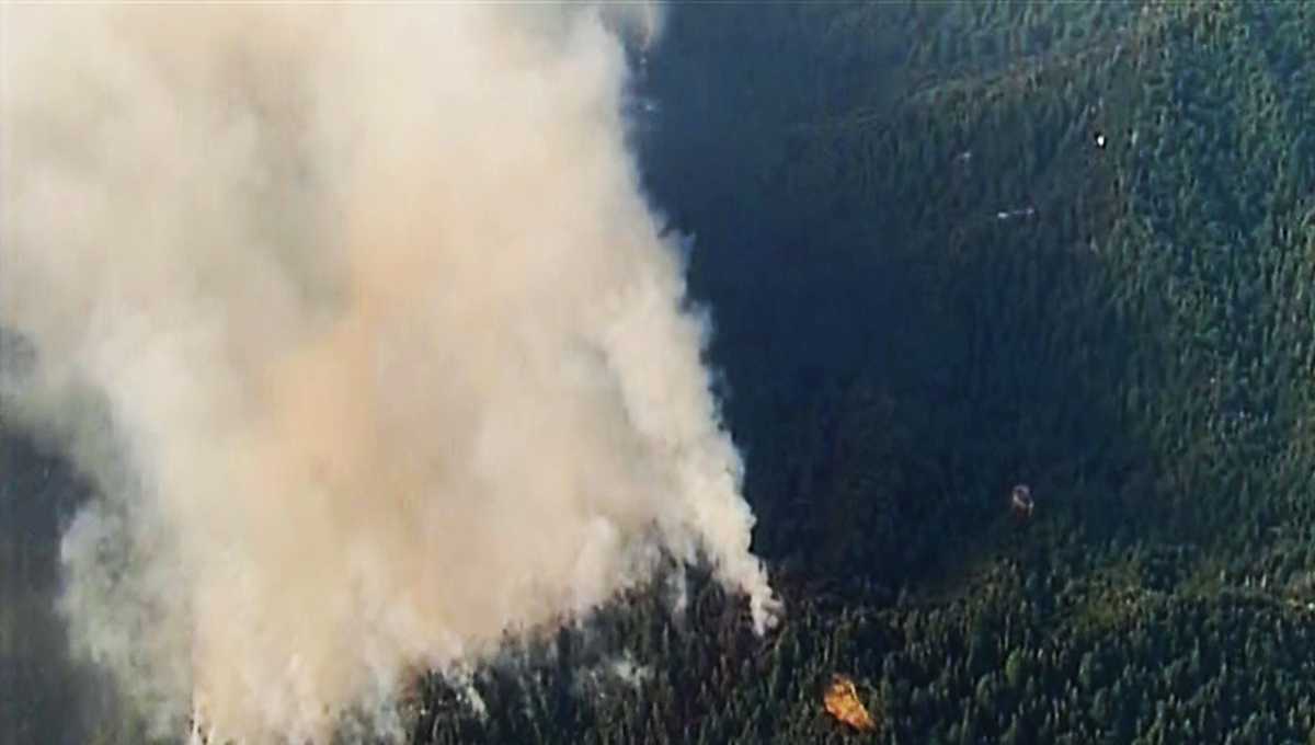 CalFire expects Bear Fire containment Tuesday