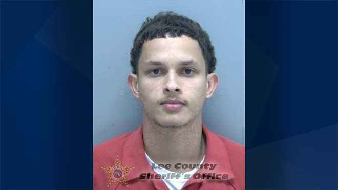 Coastal Village resident charged in animal cruelty case