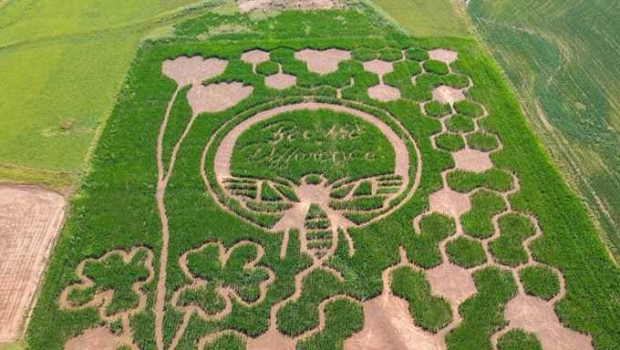 Oklahoma Fantastic Finds: 'Bee the Difference' corn maze