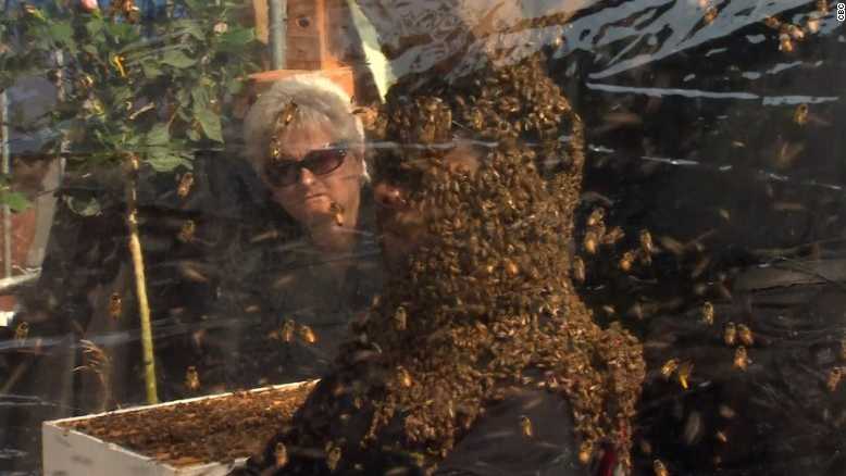 Man wears buzzing beard of bees for over an hour!