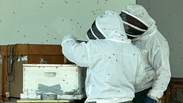 Thousands of bees found outside Florida sheriff’s office