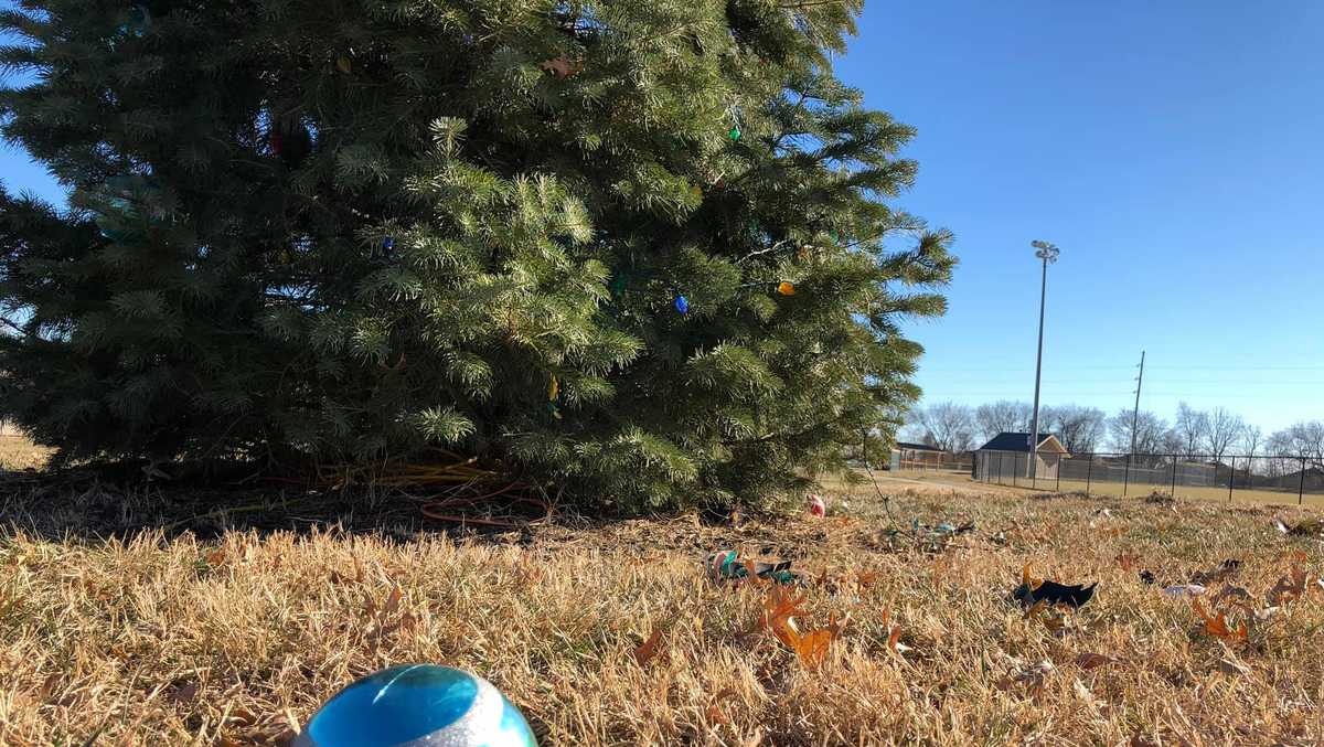Vandals damage Belton Mayor's Christmas Tree