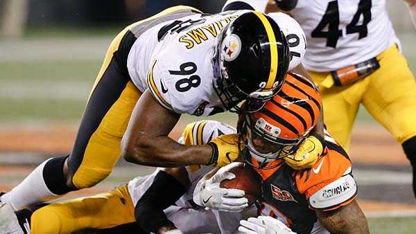Bengals fall hard to Steelers 23-20, suffer blow to playoff chances