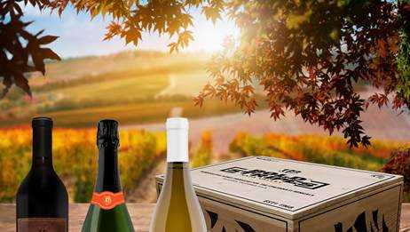 Cincinnati Bengals launch premium wine brand, membership club