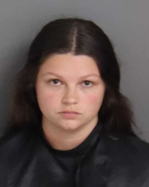 South Carolina: Driver, mother of victim, charged in hit-and-run