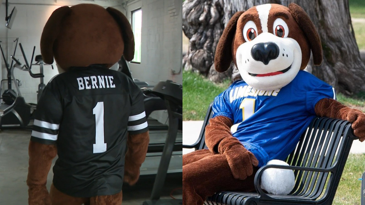 Former Limestone mascot Bernie finds new home at Spartanburg gym