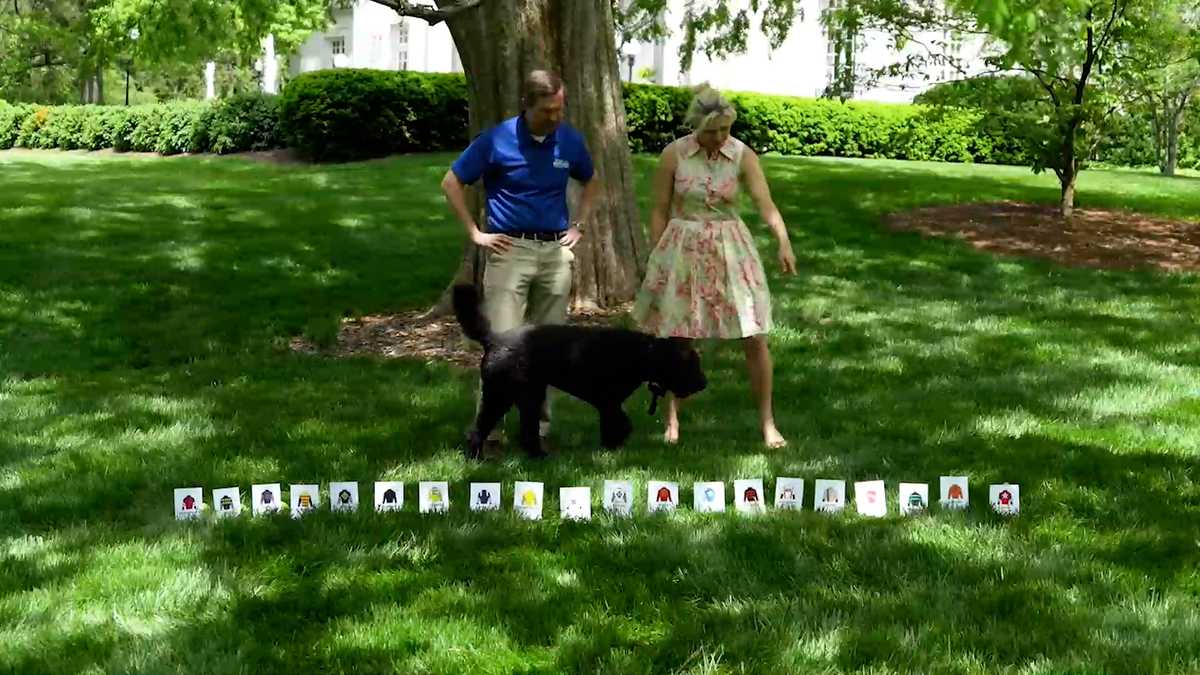 Gov. Andy Beshear let his dog Winnie pick Derby 150 winner