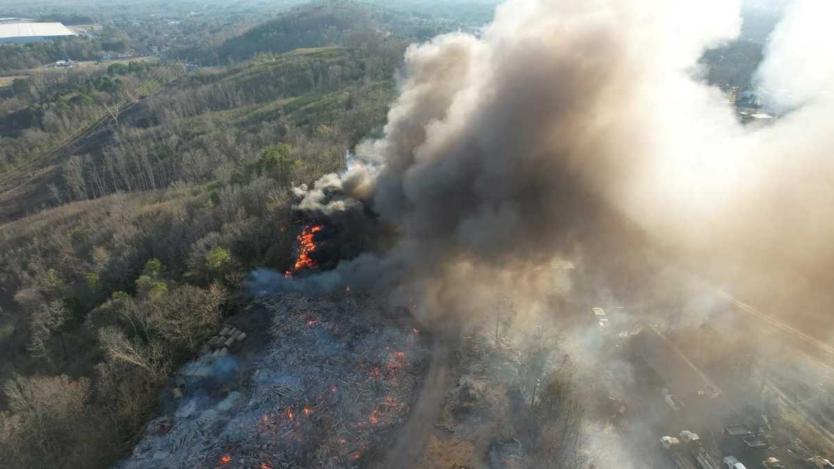 GALLERY: Alabama firefighters battle multiple major brush fires