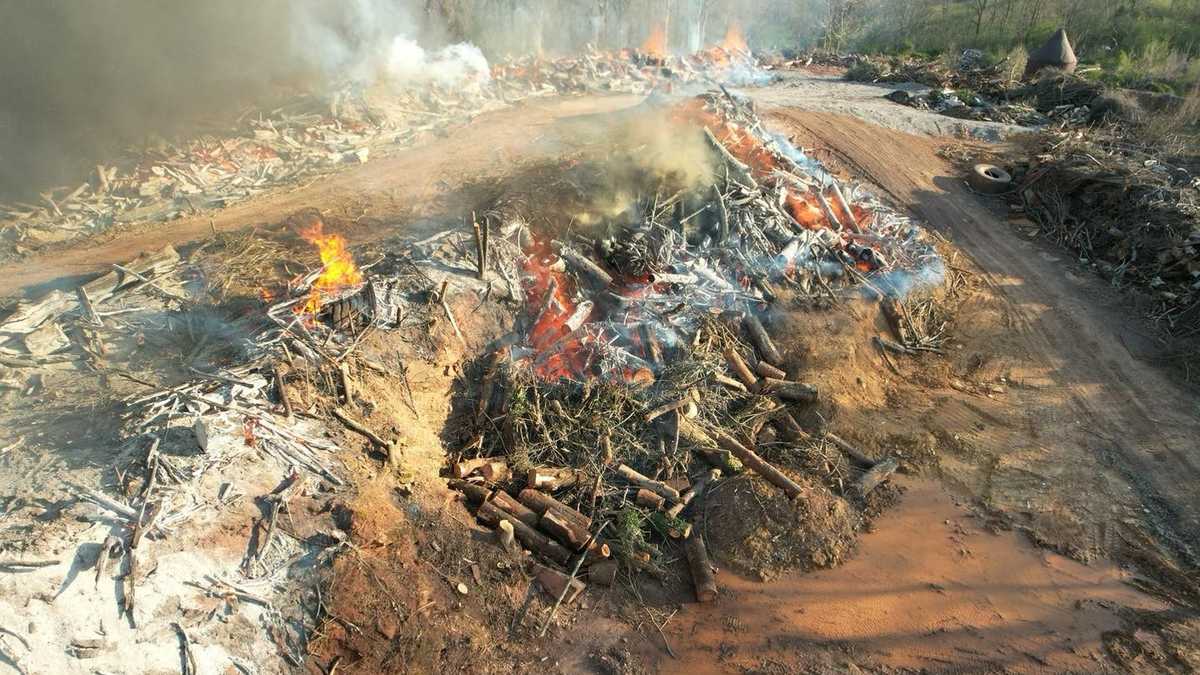 GALLERY: Alabama firefighters battle multiple major brush fires