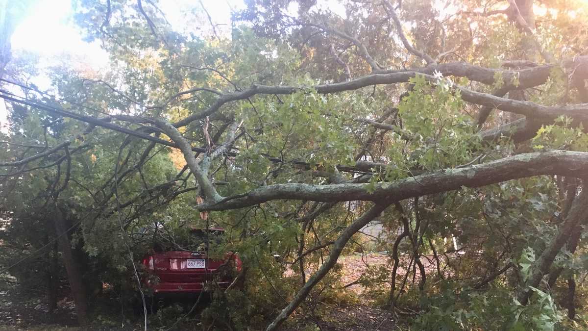 Photos: Widespread damage across state
