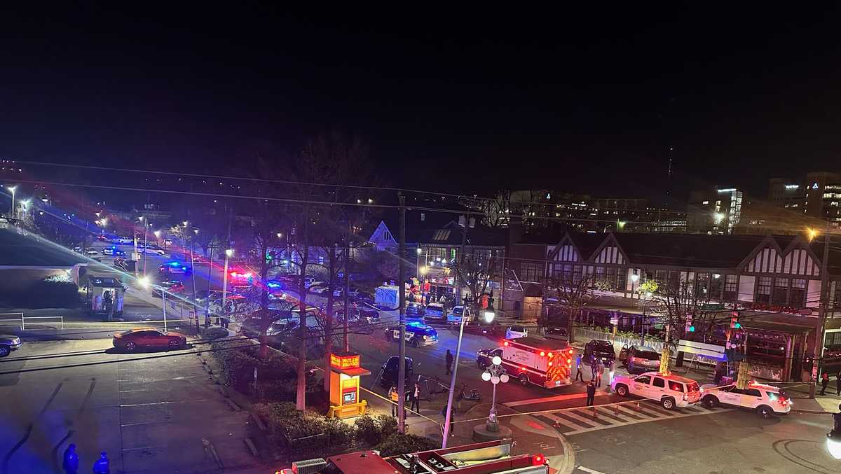 Birmingham man identified, killed in double shooting in the Lakeview ...