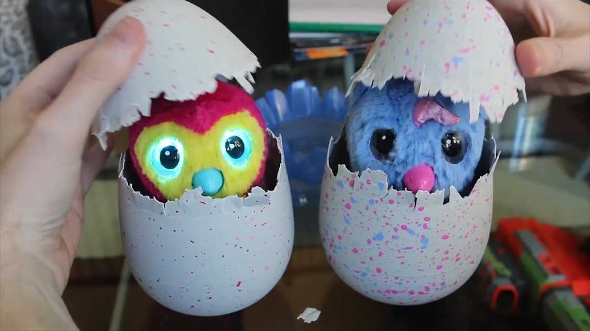 Young girl says her Hatchimal is 'dead'