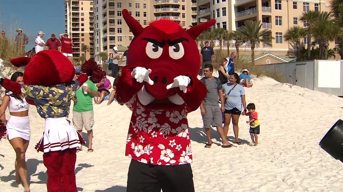 Arkansas travel agent says spring break plans are in high demand