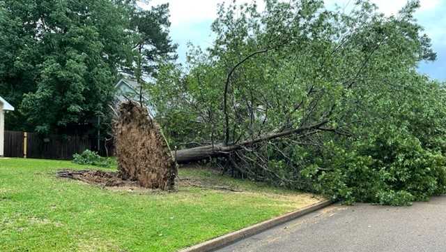 Weekend storms lead to downed trees, power outages