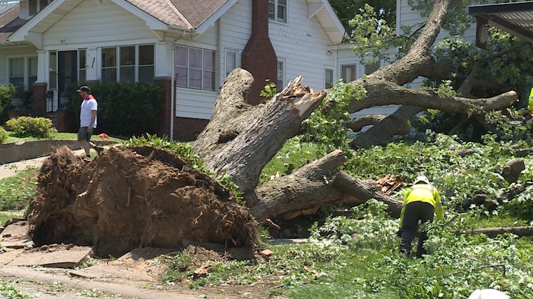 'Second-worst storm in 40 years': Tree service company trying to keep ...