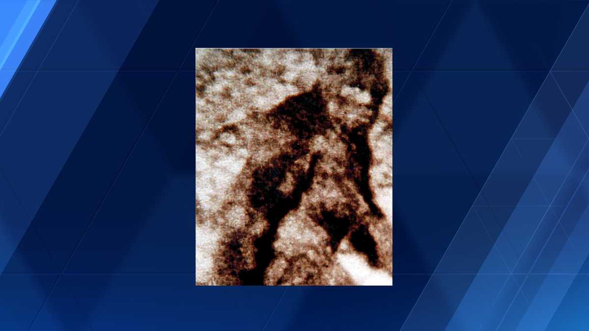 North Carolina town names Bigfoot as "official animal"