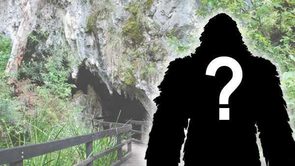 Camper: Alleged Bigfoot sighting prompts gunfire at Mammoth Cave ...