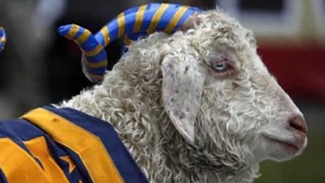 Retired Naval Academy goat mascot Bill 33 has died