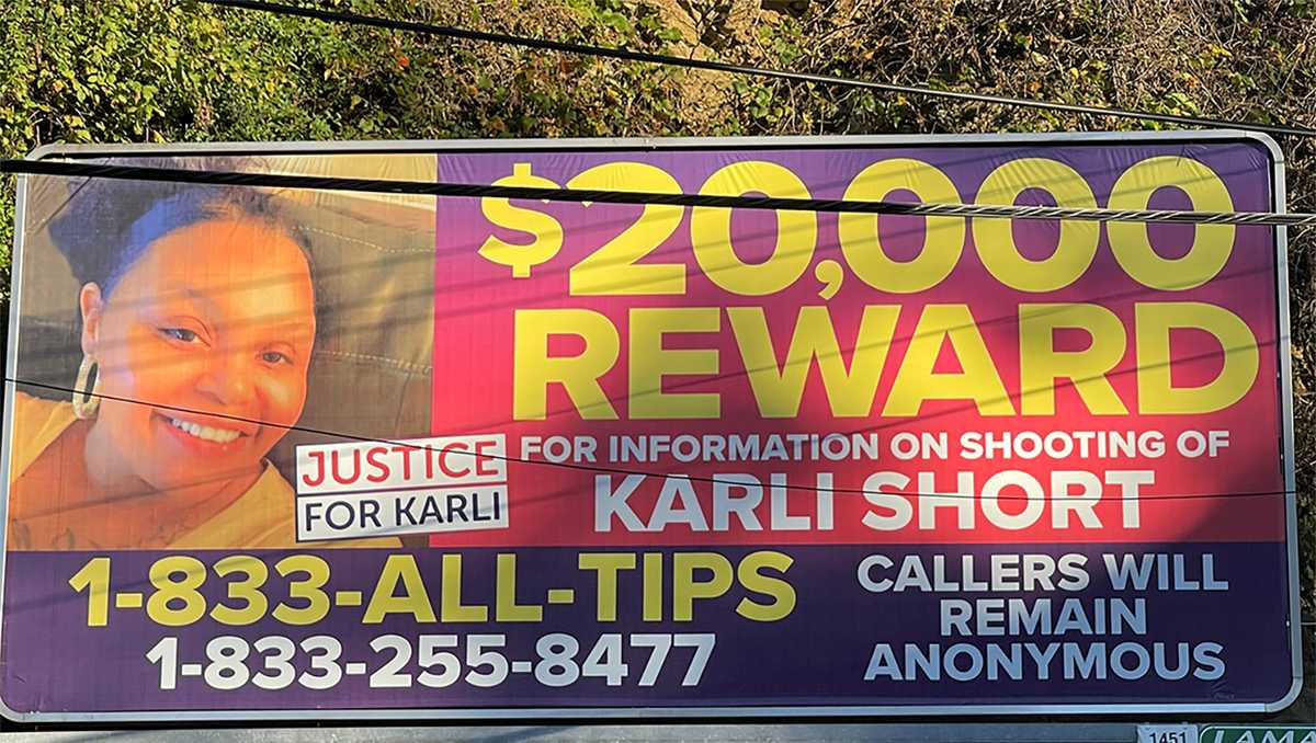 Billboards put up in McKeesport asking for answers woman's death
