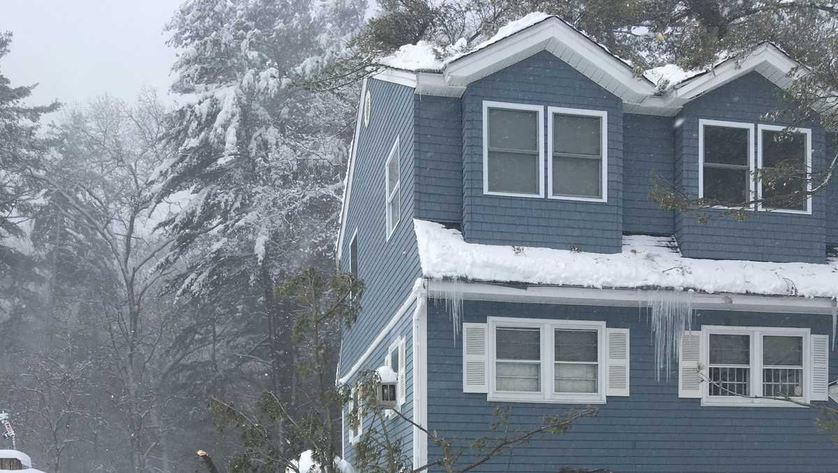 Heavy, wet snow brings down trees, power lines
