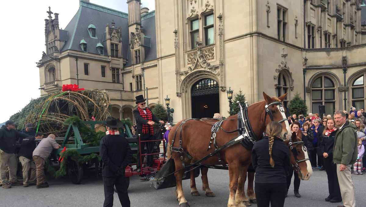 Santa escorts Biltmore Estate Christmas tree in horse-drawn carriage