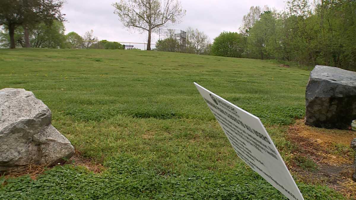 Greensboro City to update its plans for Bingham Park