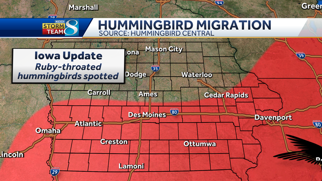 Iowa weather: Spring hummingbird migration reaches Iowa