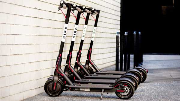 Bird scooters are here, but who will regulate them?